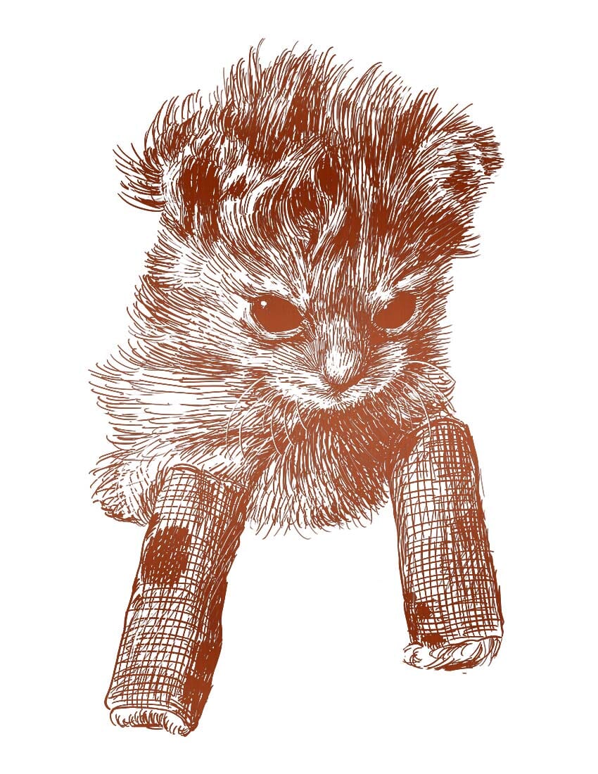 Tater Tot Fundraiser (2023, 2025) – JoyousJoyfulJoyness